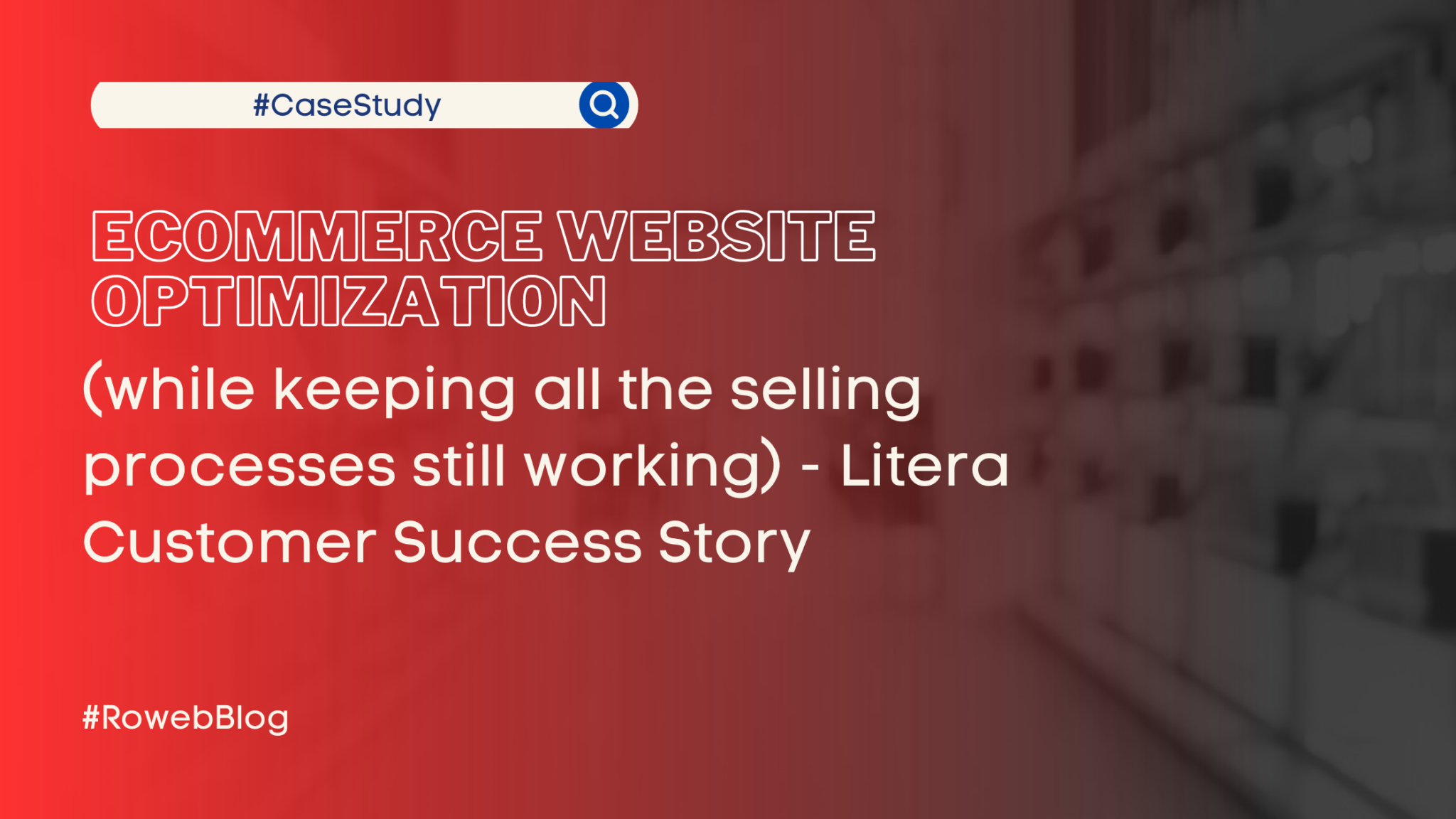 eCommerce website optimization | Litera Case Study